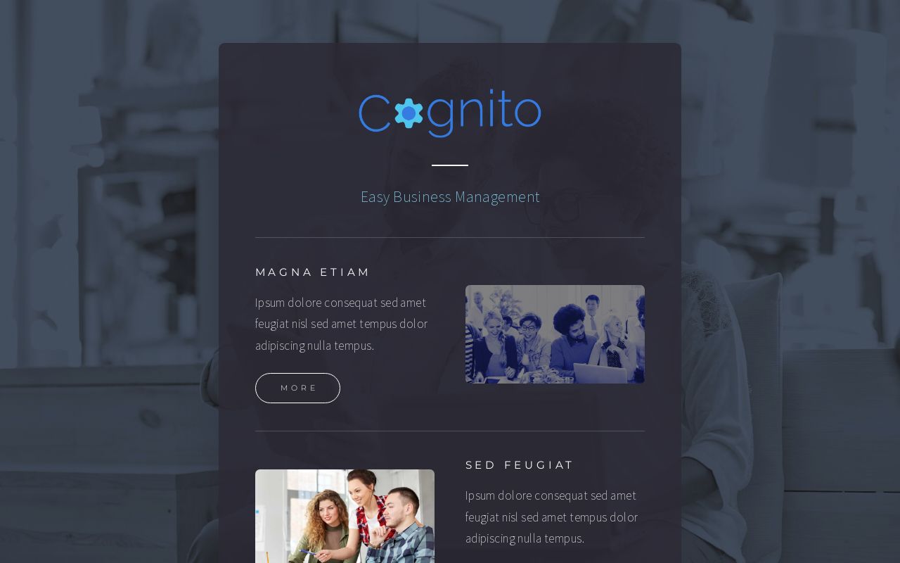 Cognito : Easy business management